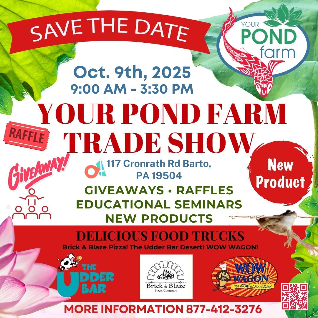 Home | Your Pond Farm